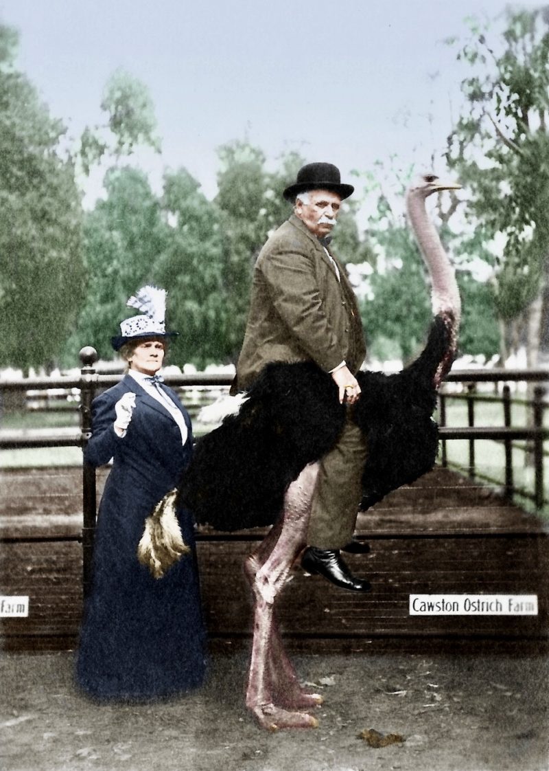 Sheldon Photo Wall – Sheldon Genealogy