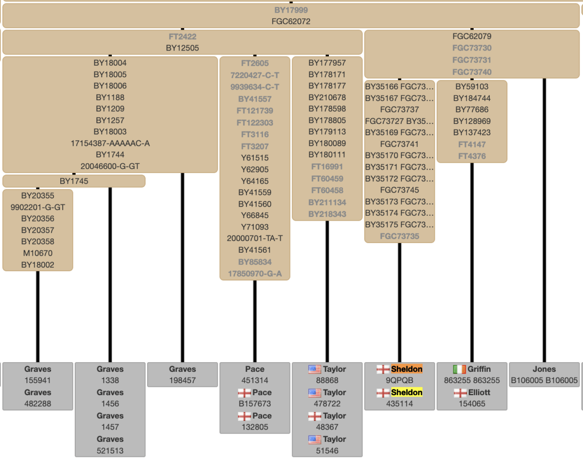 Refinement of Group B SHELDONs DNA – Sheldon Genealogy