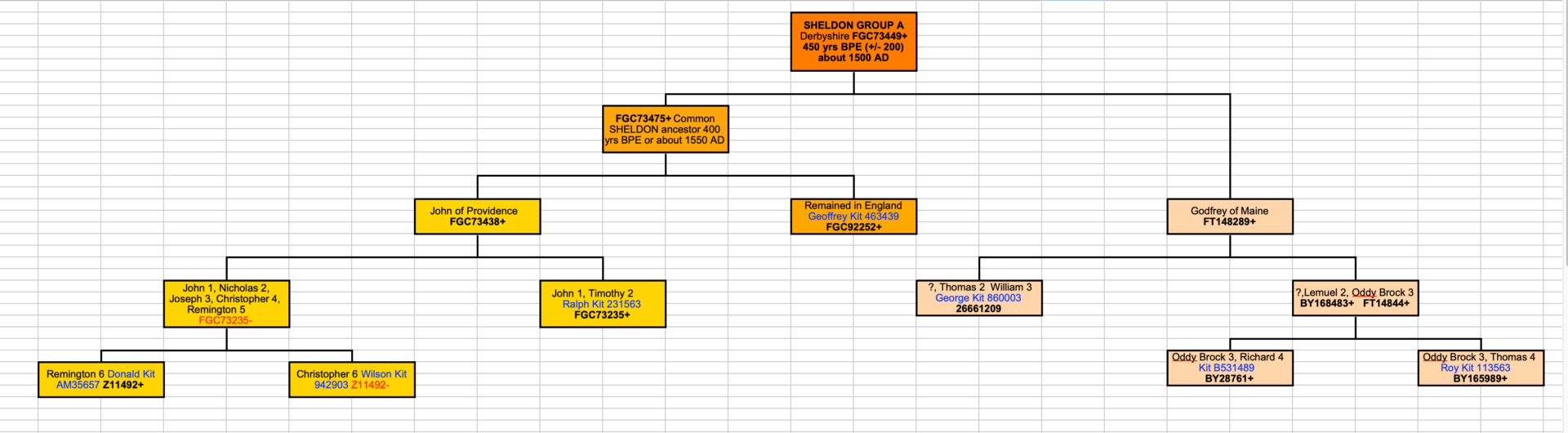 The Sheldons of Derbyshire: New DNA results and their implications ...